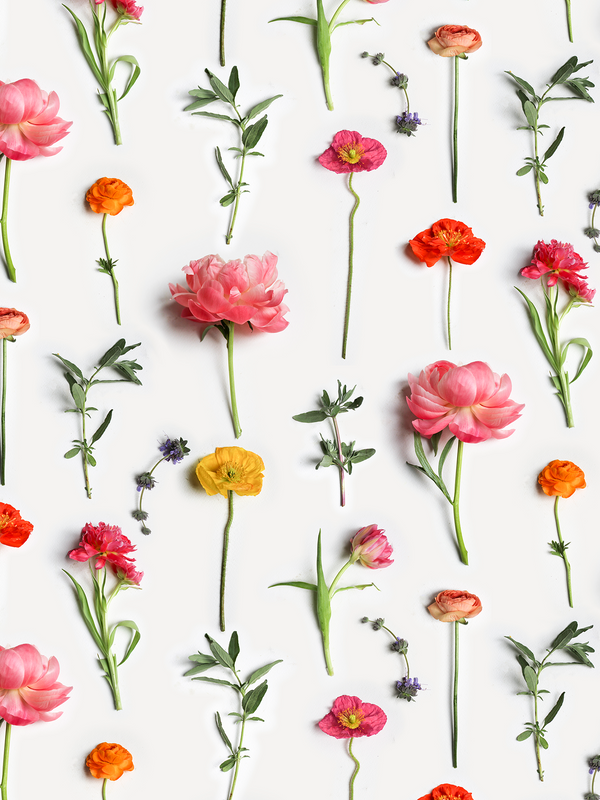 Fresh to Death Wallpaper, standard pattern, spring – G's Breeze